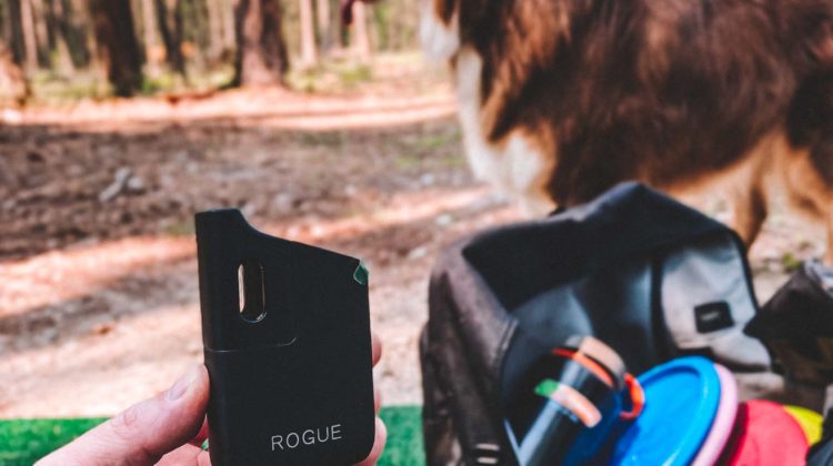 Healthy Rips ROGUE Review - Vaporizer Wizard