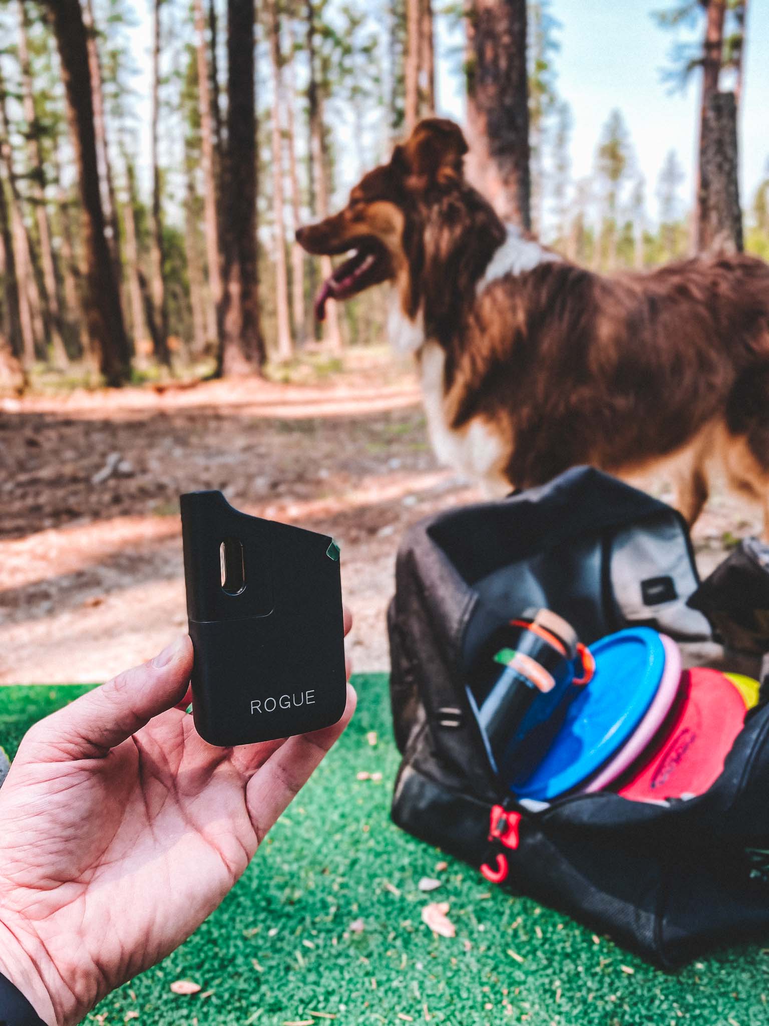 Healthy Rips ROGUE Vaporizer Review - Vaporizer Wizard